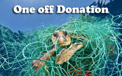 Donate Now – Ocean Crusaders