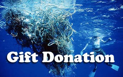 Donate Now – Ocean Crusaders